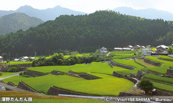 深野だんだん田 | キャンピングカーで行く三重県のドライブ・スポット